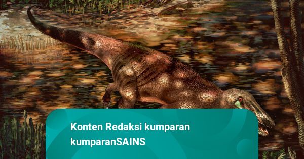 Peneliti Temukan Fosil Dinosaurus Tratayenia di Patagonia | kumparan.com Peneliti Temukan Fosil Dinosaurus Tratayenia di Patagonia | kumparan.com